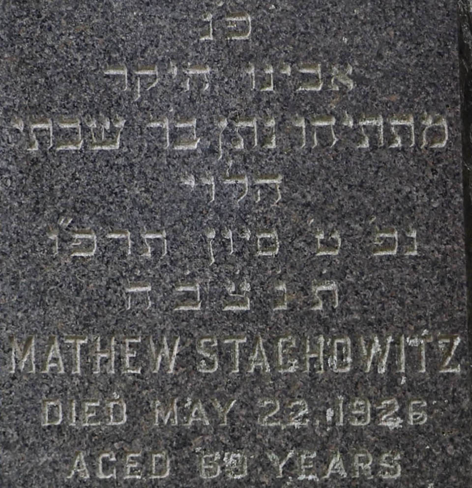 Stachowitz Family Matrix